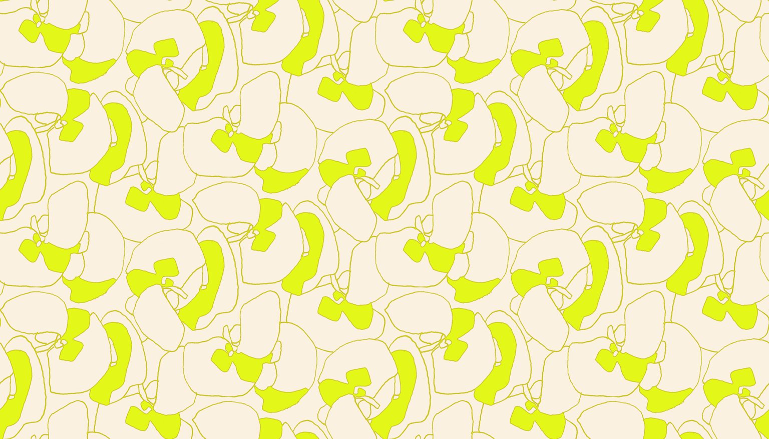 Vorverkauf - Ruby Star Society - Carolyn Friedlander - Memento ...